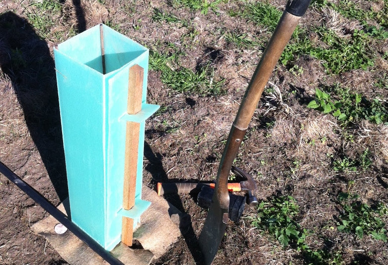 10 Steps for Planting your Truffle Tree – Kings Truffles